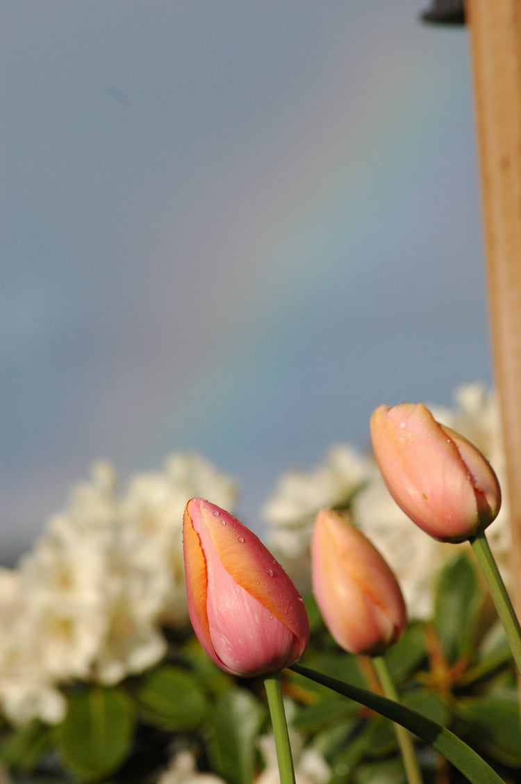 12 Ways to Freshen Up in Case You Don't Know How